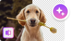 Free image background remover | Remove Background